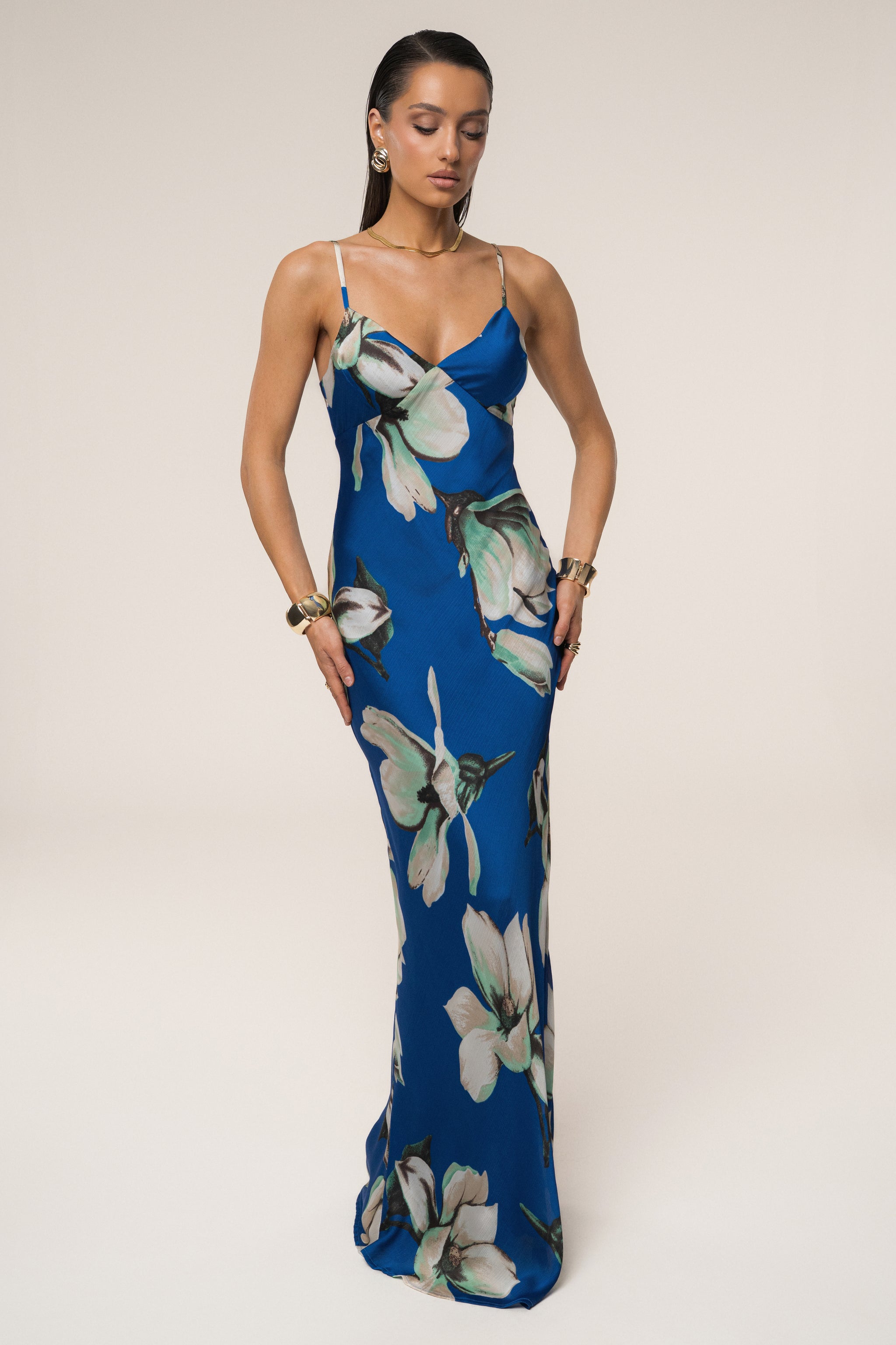 Blue Floral Azul Print Maxi Dress